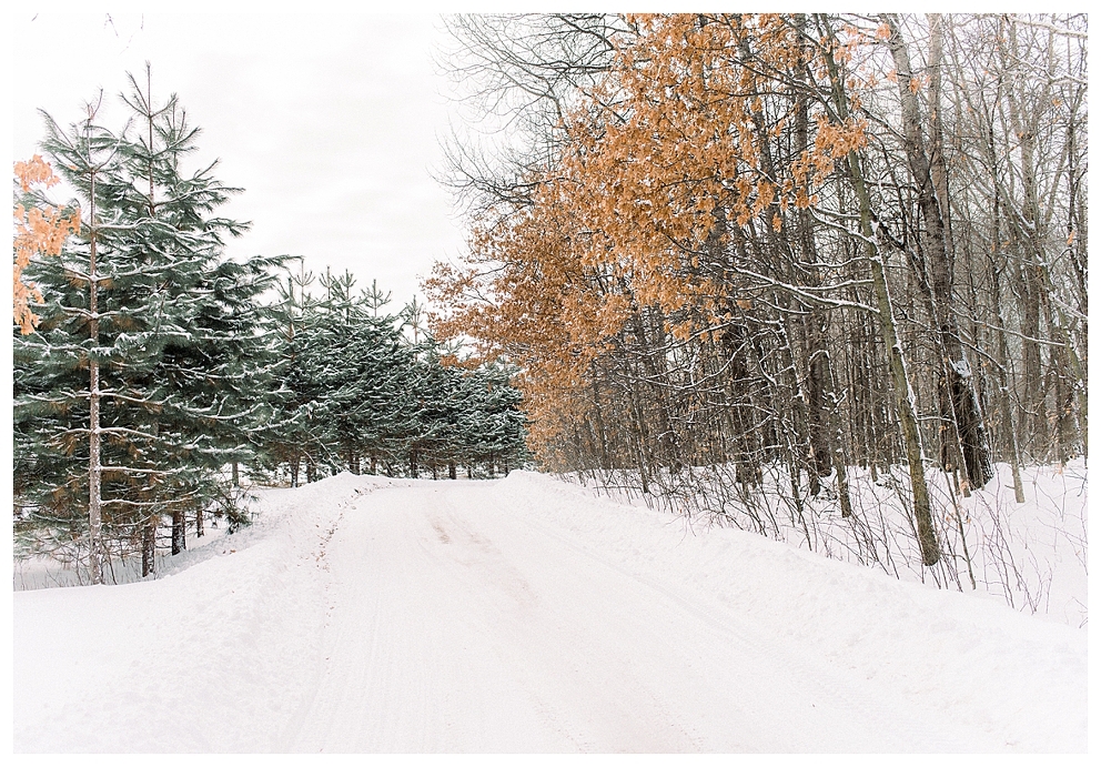 Treehouse Anniversary Shoot | Stoney Ridge, Burtrum MN • Xsperience ...