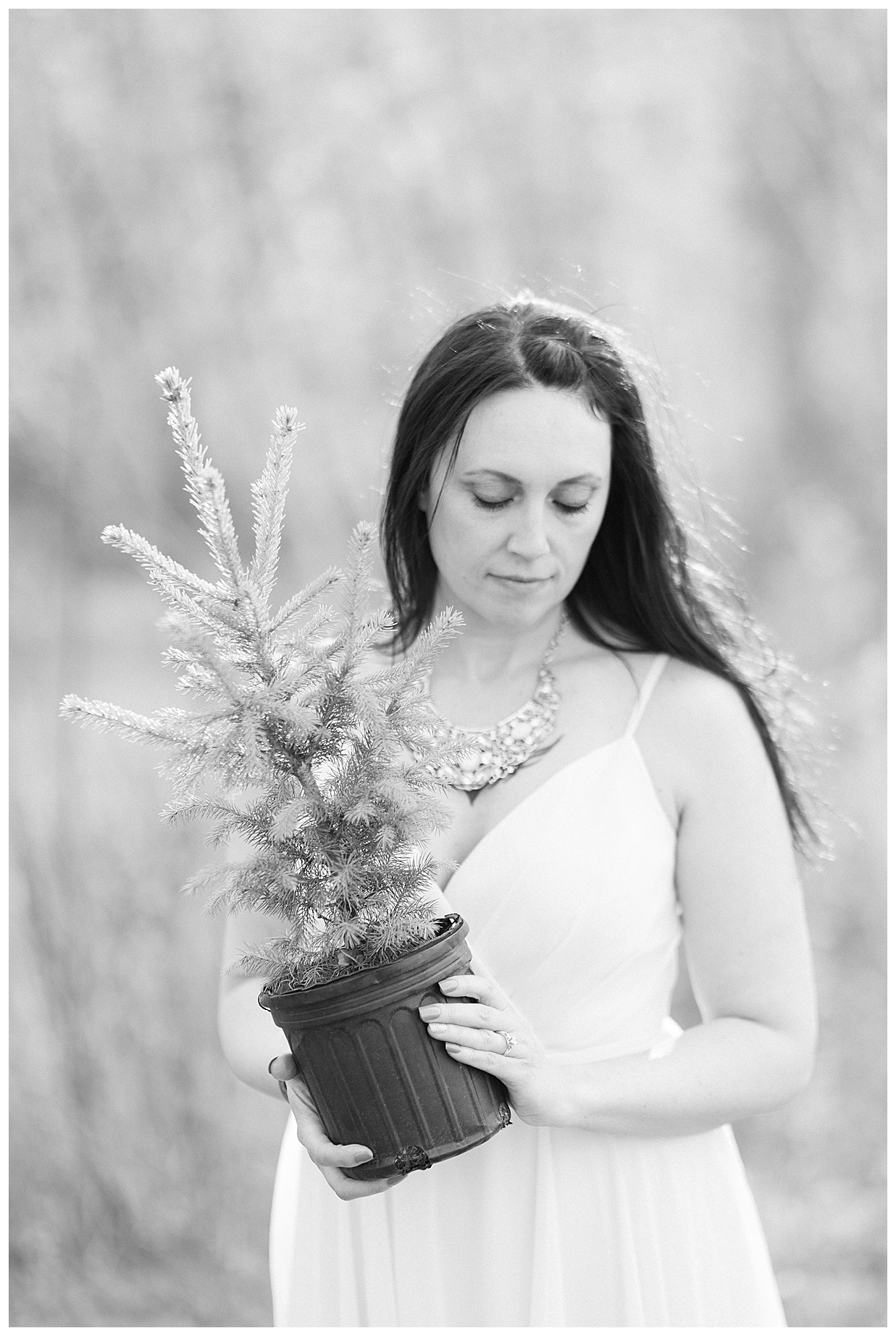 Countryside Minnesota Elopement w/ Tree Planting Ceremony • Xsperience ...