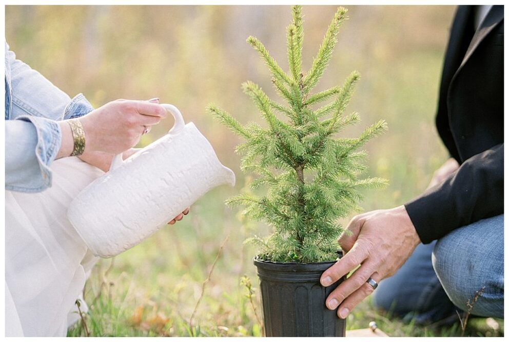 Countryside Minnesota Elopement w/ Tree Planting Ceremony • Xsperience ...