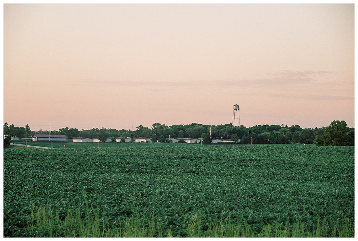 Elegant Countryside Wedding | South Haven, Minnesota • Xsperience ...