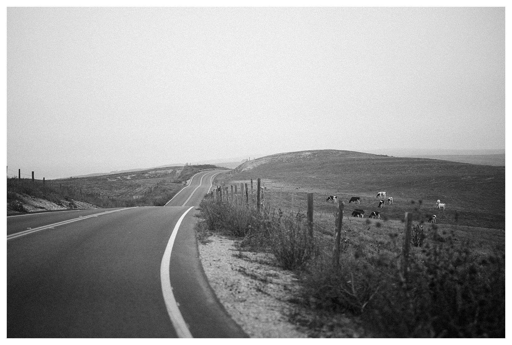 Point Reyes California Engagement Session | Kaela + Noah • Xsperience ...