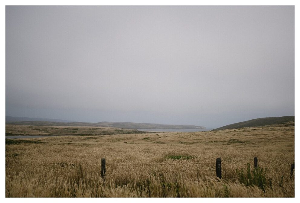 Point Reyes Wedding | Limantour Lodge • Xsperience Photography